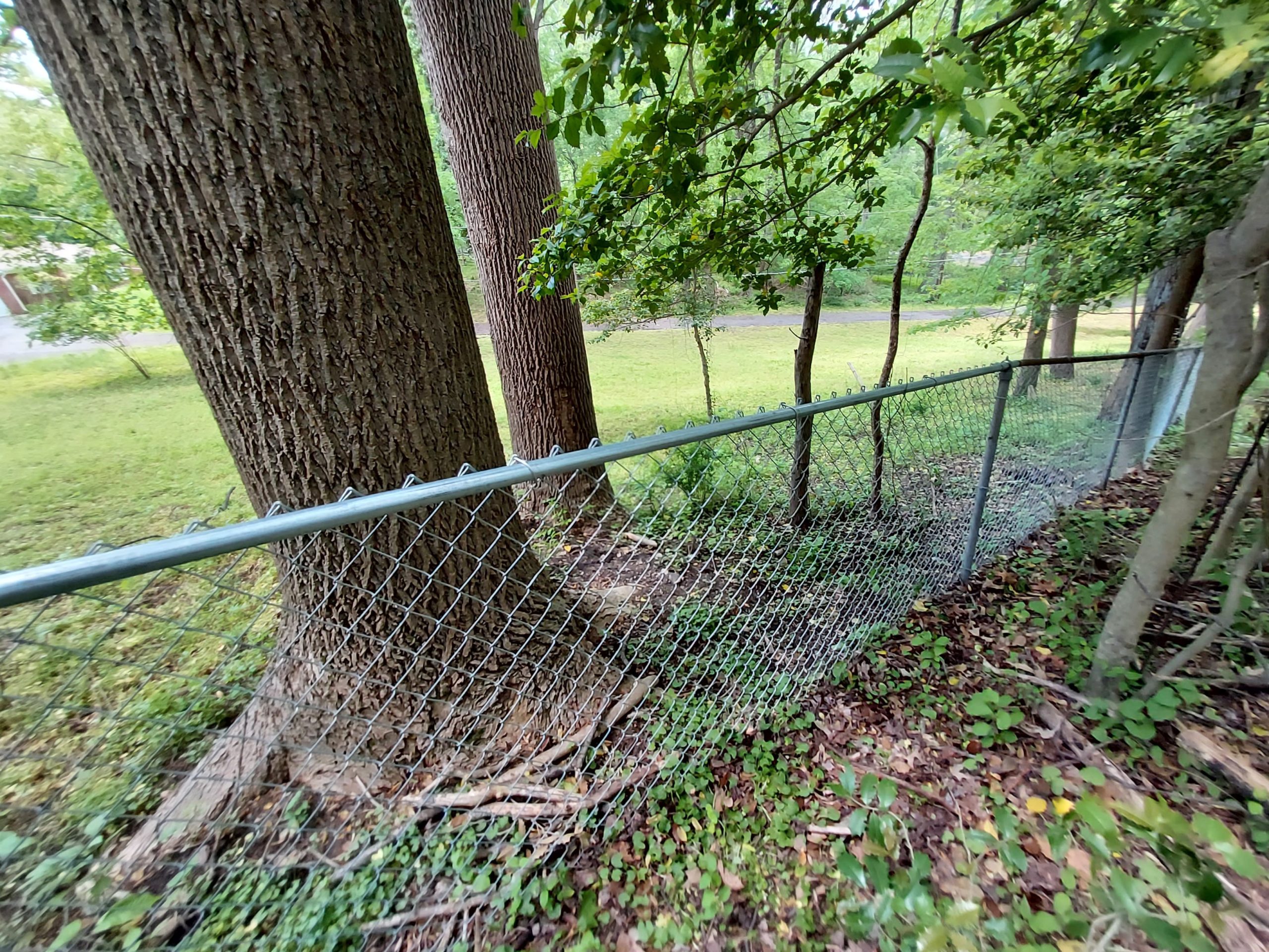 Fences – Chain Link - Fence & Deck Connection