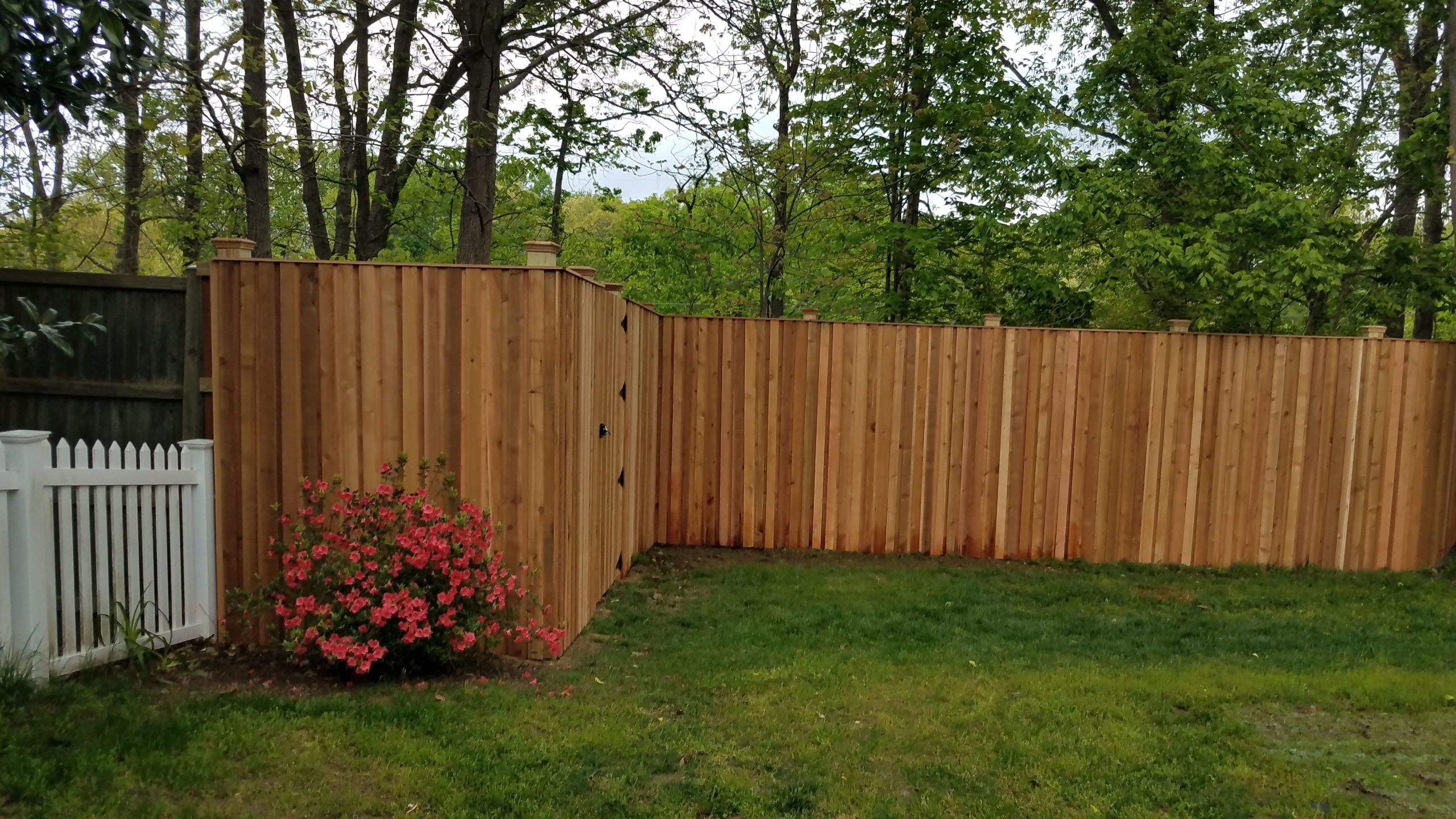 Fences – Cedar Fences - Fence & Deck Connection