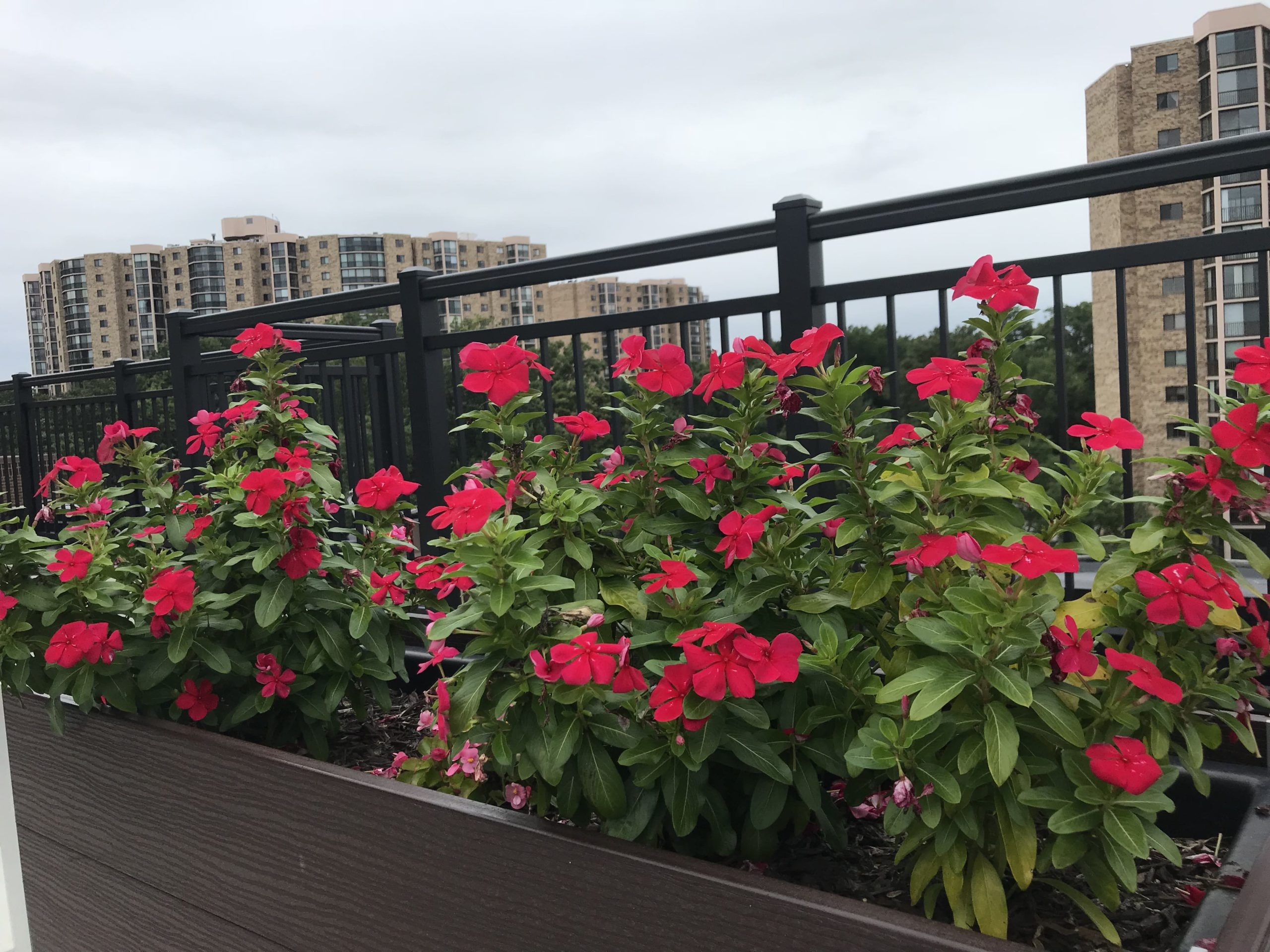 Commercial Balcony Railing New Construction - Fence & Deck Connection